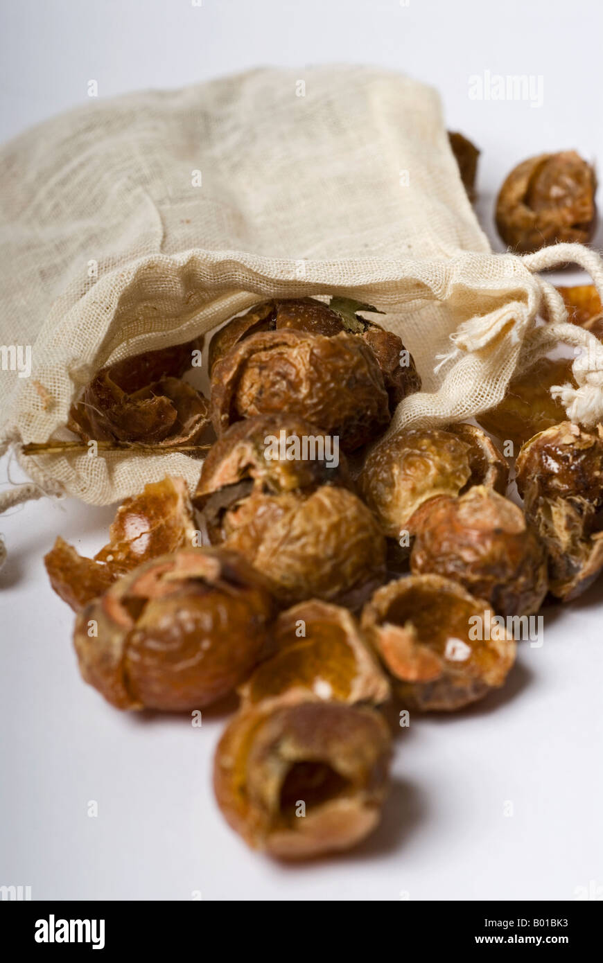 Stock photo of Soapnuts The nuts are placed inside a washing machine in ...