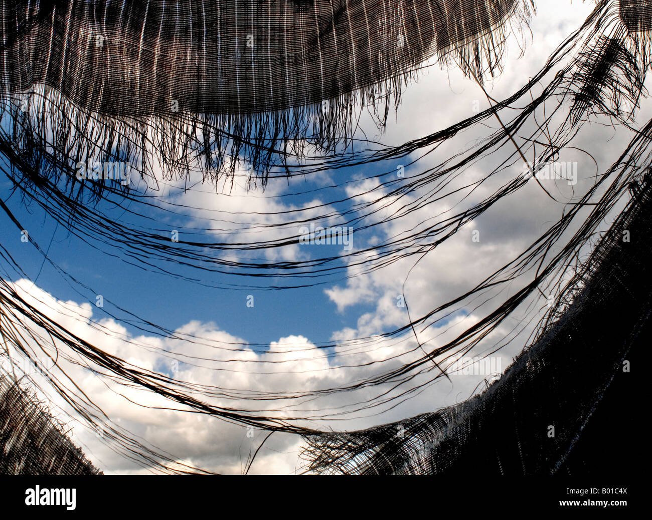 Ripped and shredded tarpaulin blowing in the wind Stock Photo - Alamy