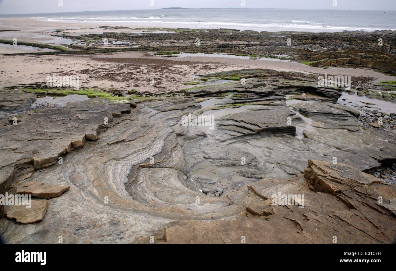 Weathering patterns on coastal rocks Northeast England Stock Photo - Alamy