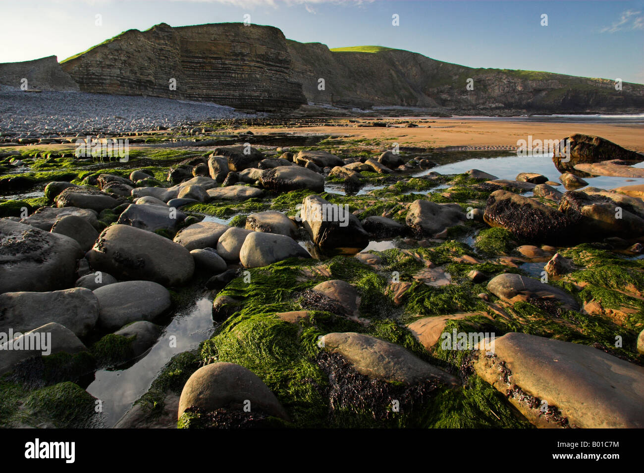 Seaweed Southerndown Beach Stock Photo - Alamy