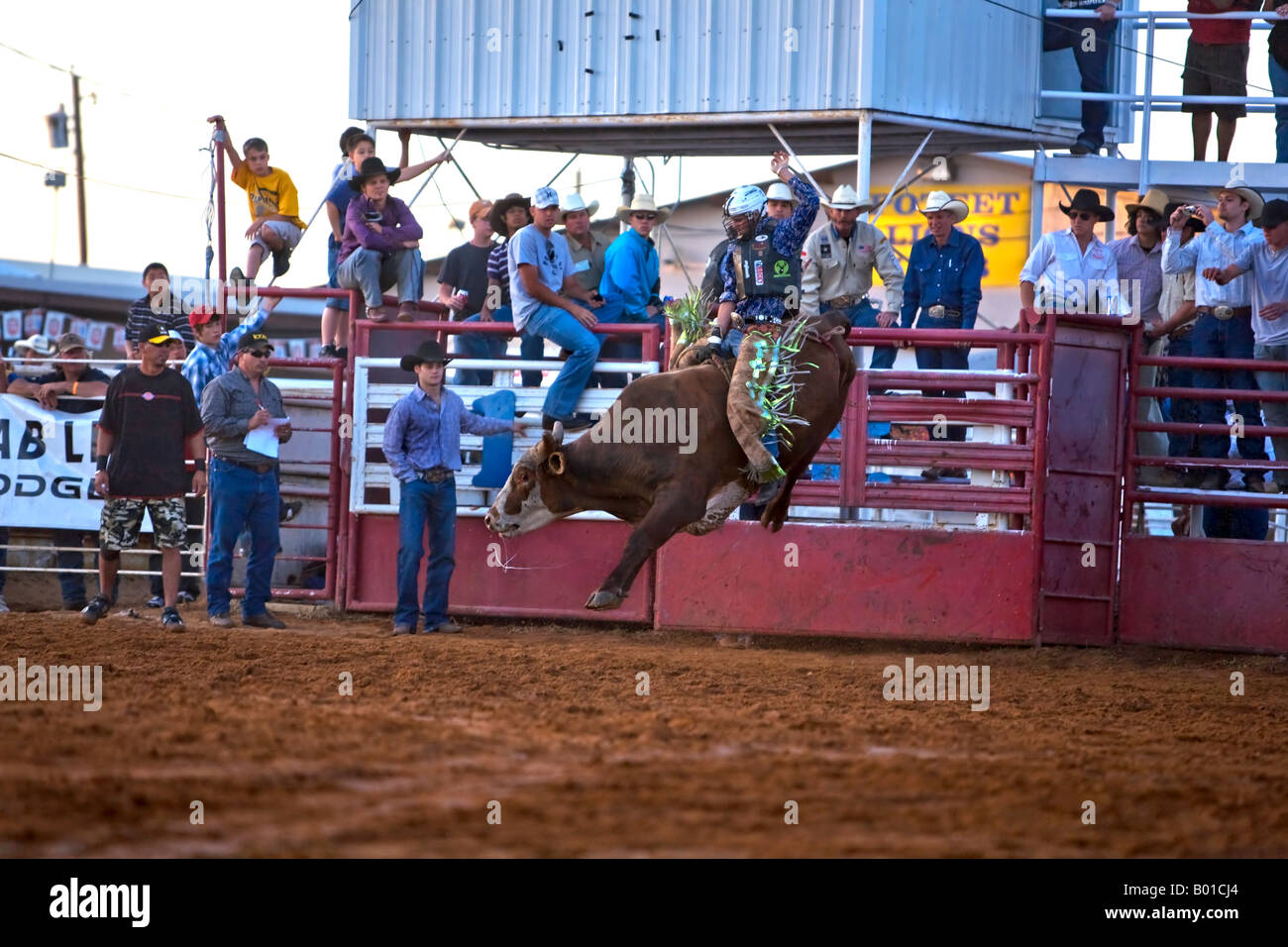 Bull ride hi-res stock photography and images - Alamy