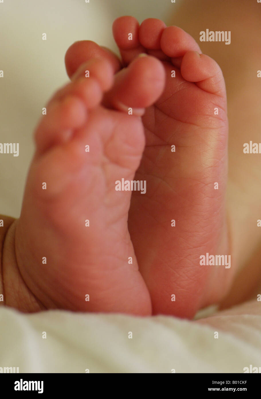 baby's feet 1 week old Stock Photo - Alamy