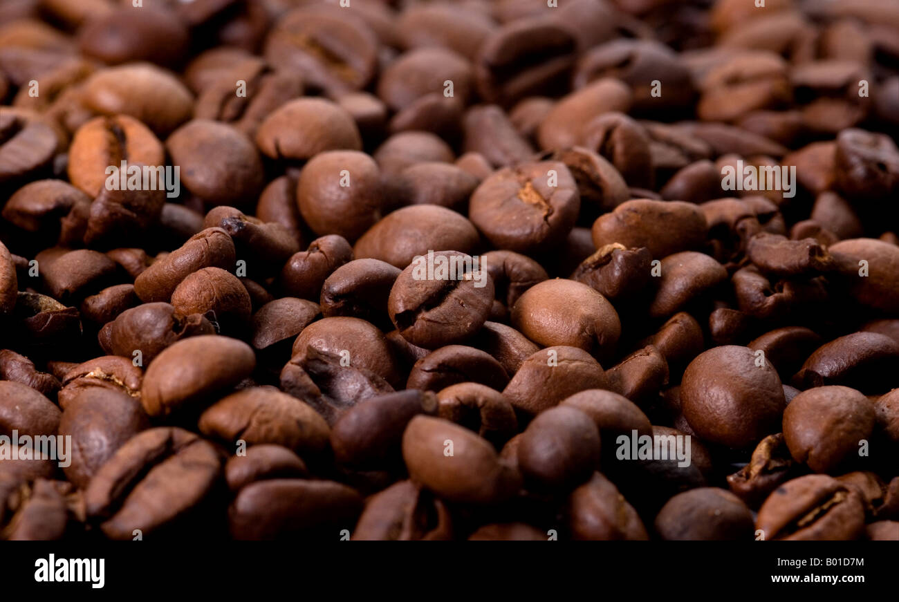 close up of coffee beans Stock Photo - Alamy