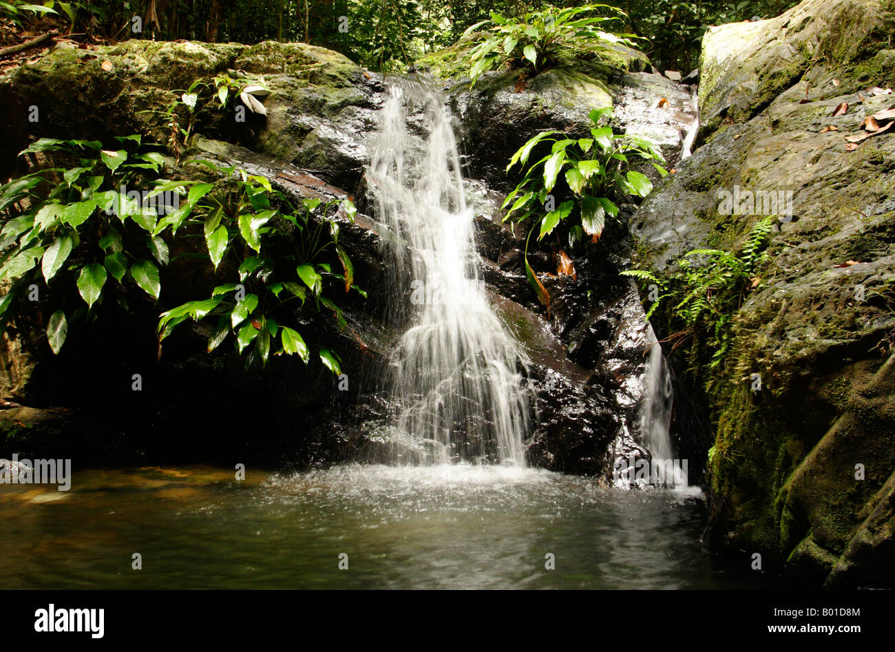 waterfall, Tanjung Datu National Park, Sarawak, Borneo Stock Photo - Alamy