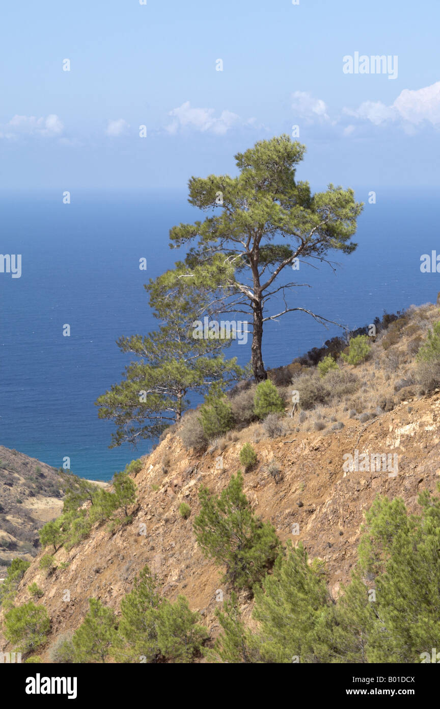 Polis in cyprus hi-res stock photography and images - Alamy