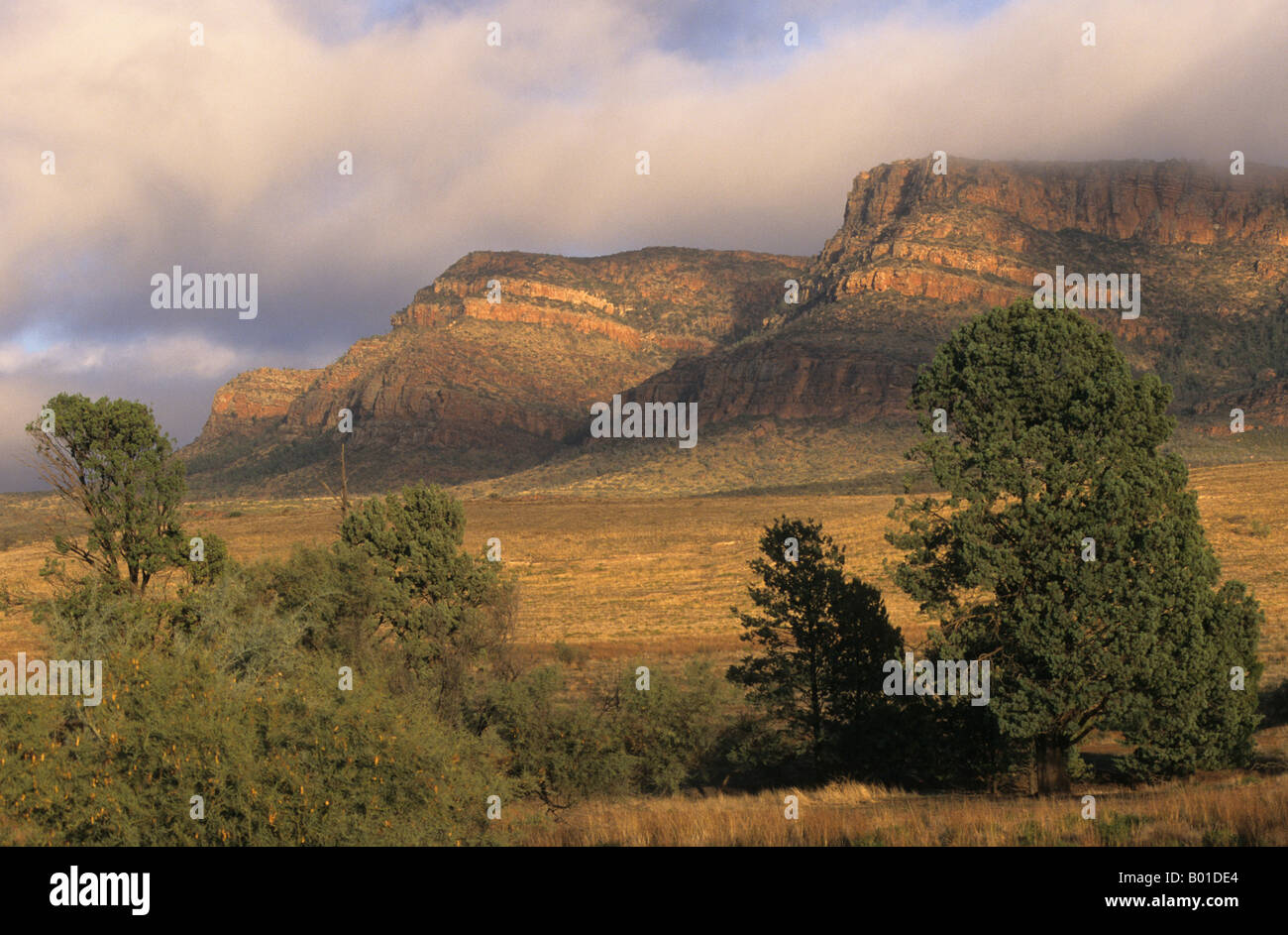 Flinders Ranges South Australia Australia Stock Photo - Alamy