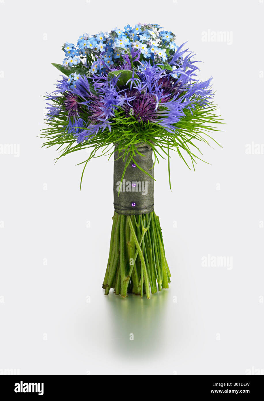 English flower hi-res stock photography and images - Alamy
