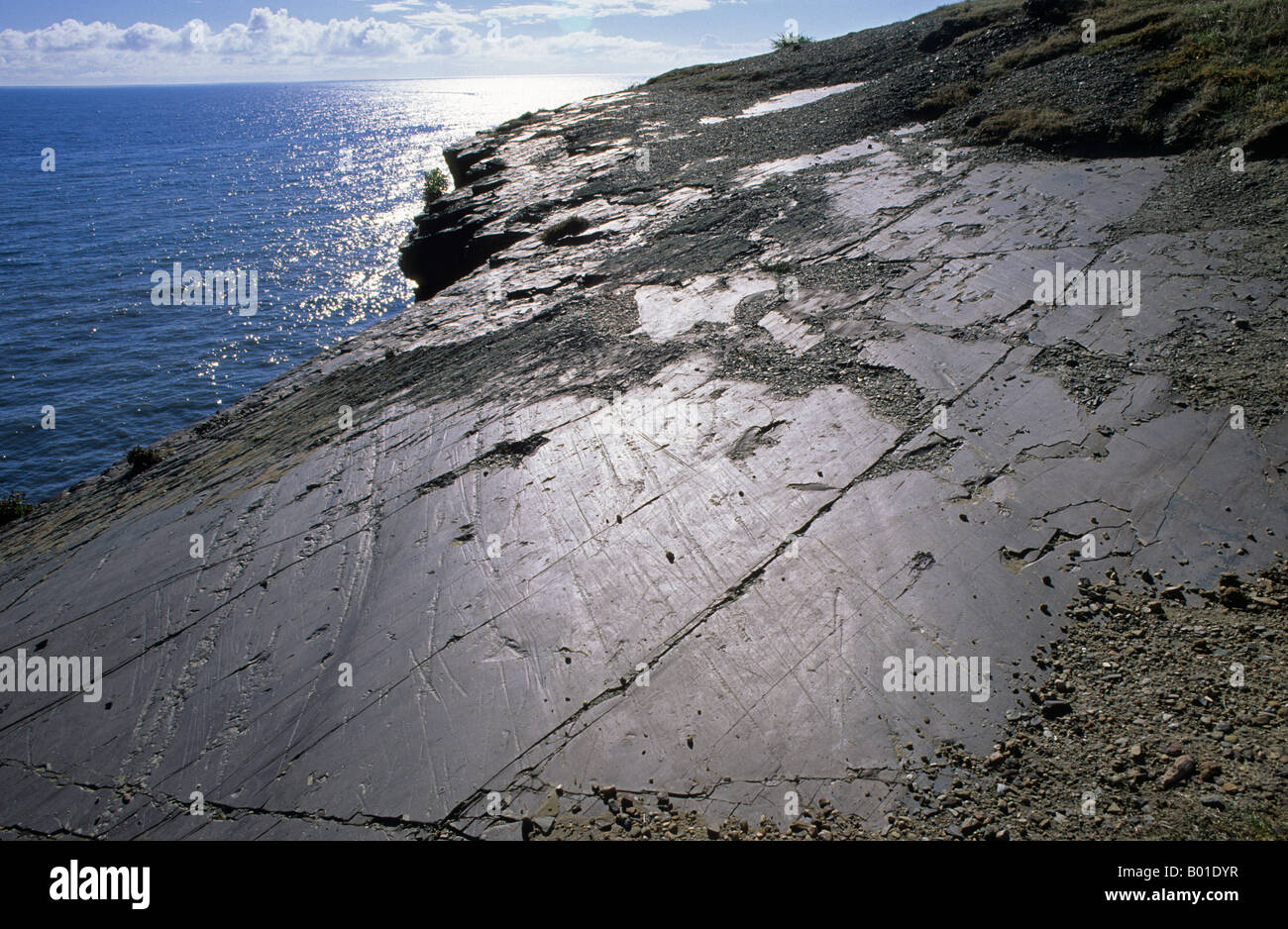 Hallett cove conservation park hi-res stock photography and images - Alamy