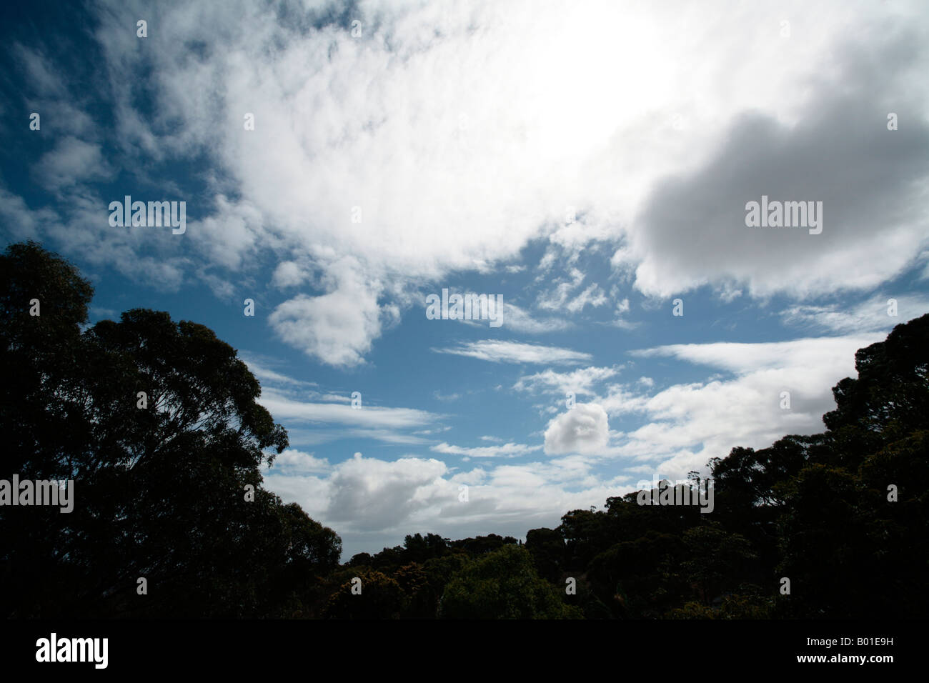 Mixed Cumulus Cloud Stock Photo - Alamy