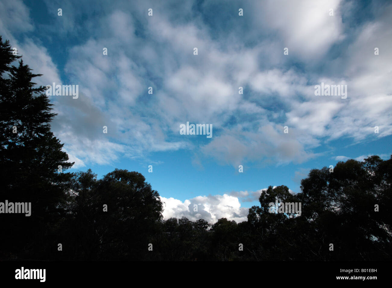 Cumulus and Altocumulus Clouds Stock Photo - Alamy
