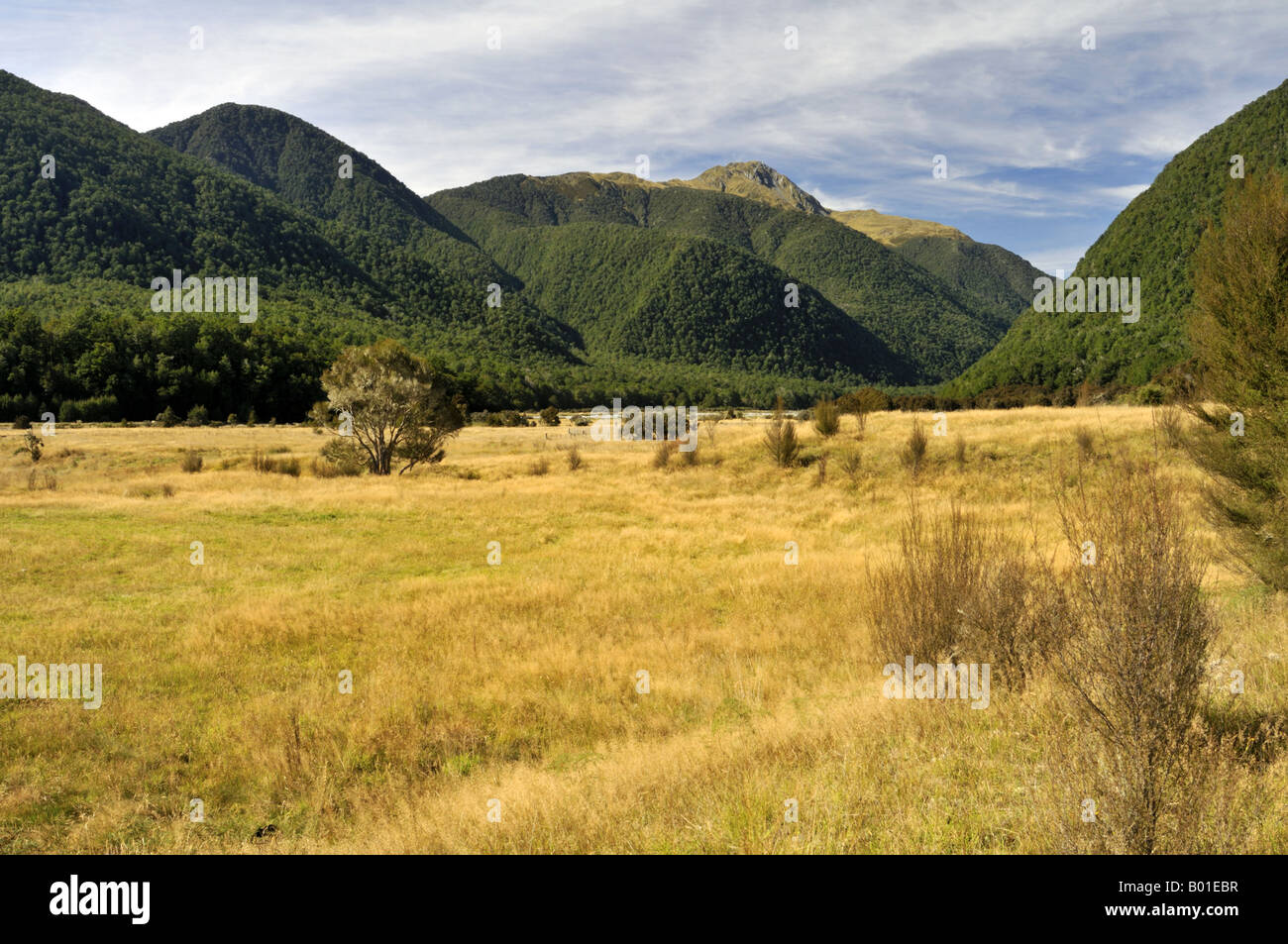 Lewis pass scenic reserve hi-res stock photography and images - Alamy