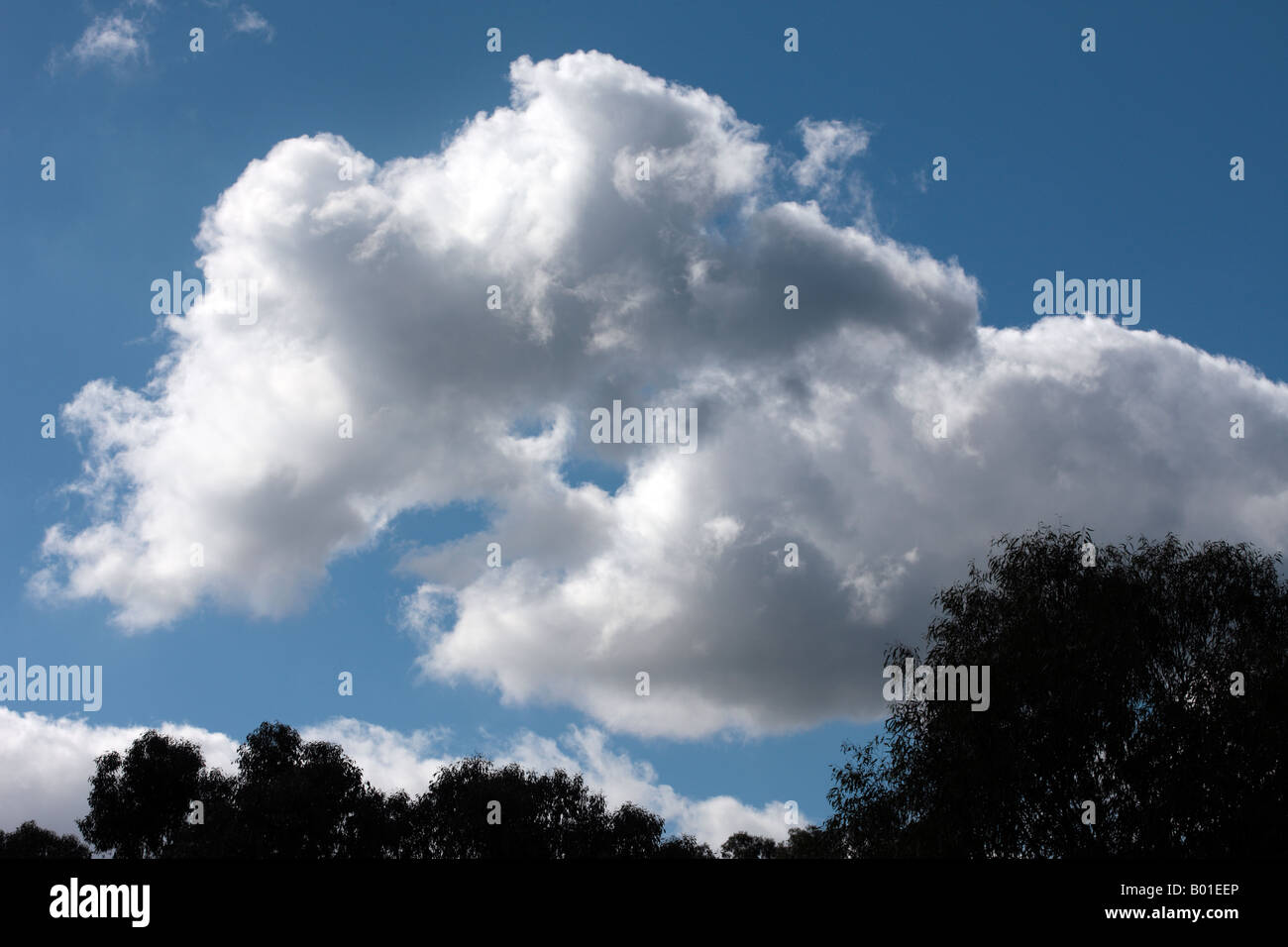 Cumulus and stratocumulus hi-res stock photography and images - Alamy