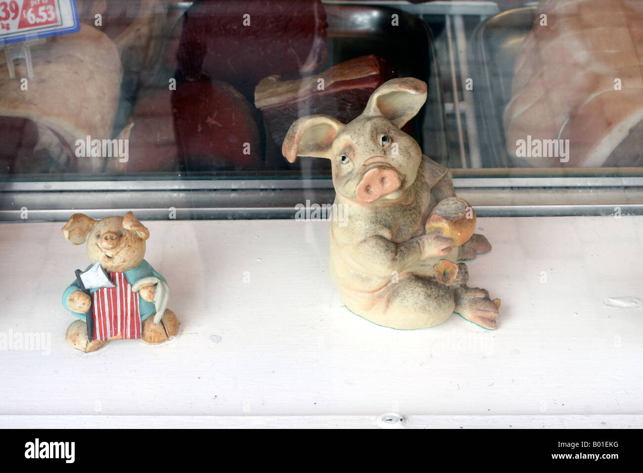 Pigs in Butcher's shop window Stock Photo - Alamy