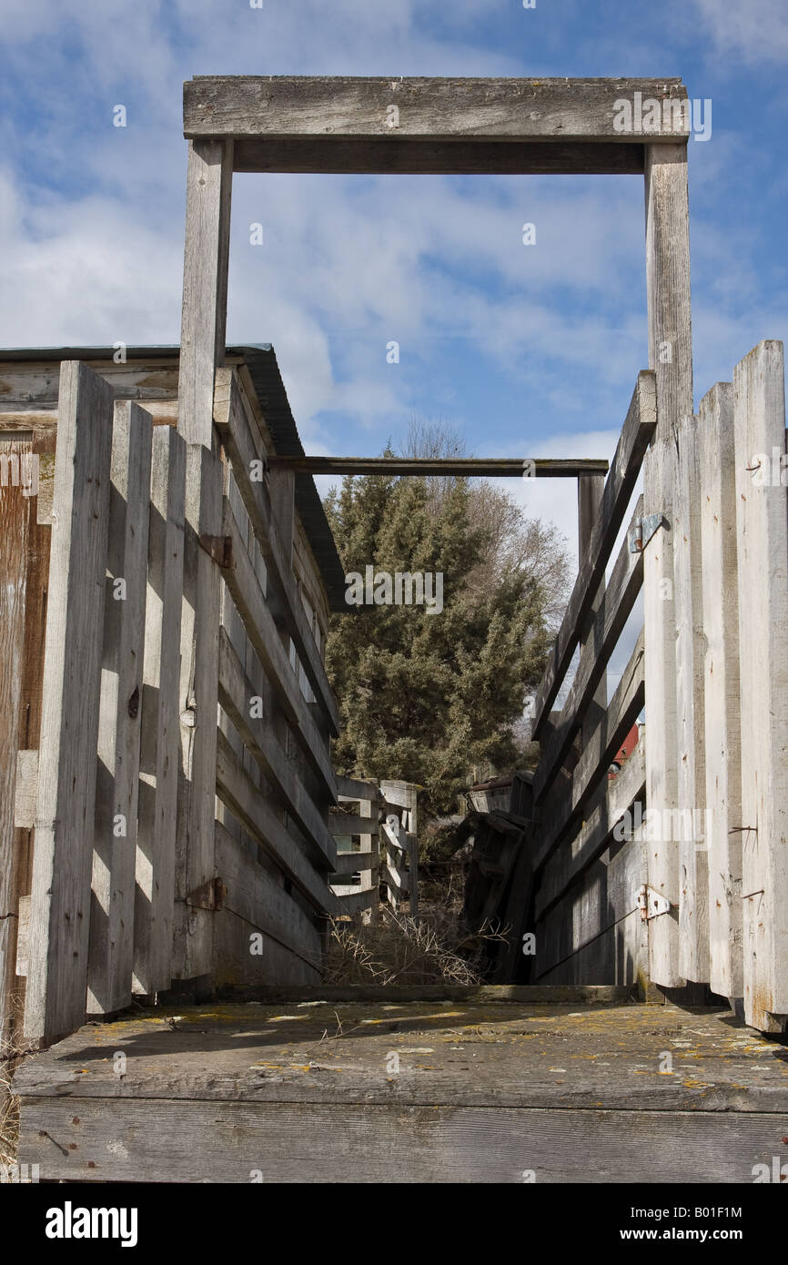 Old Wood Livestock Loading Chute in Madras Oregon Stock Photo - Alamy