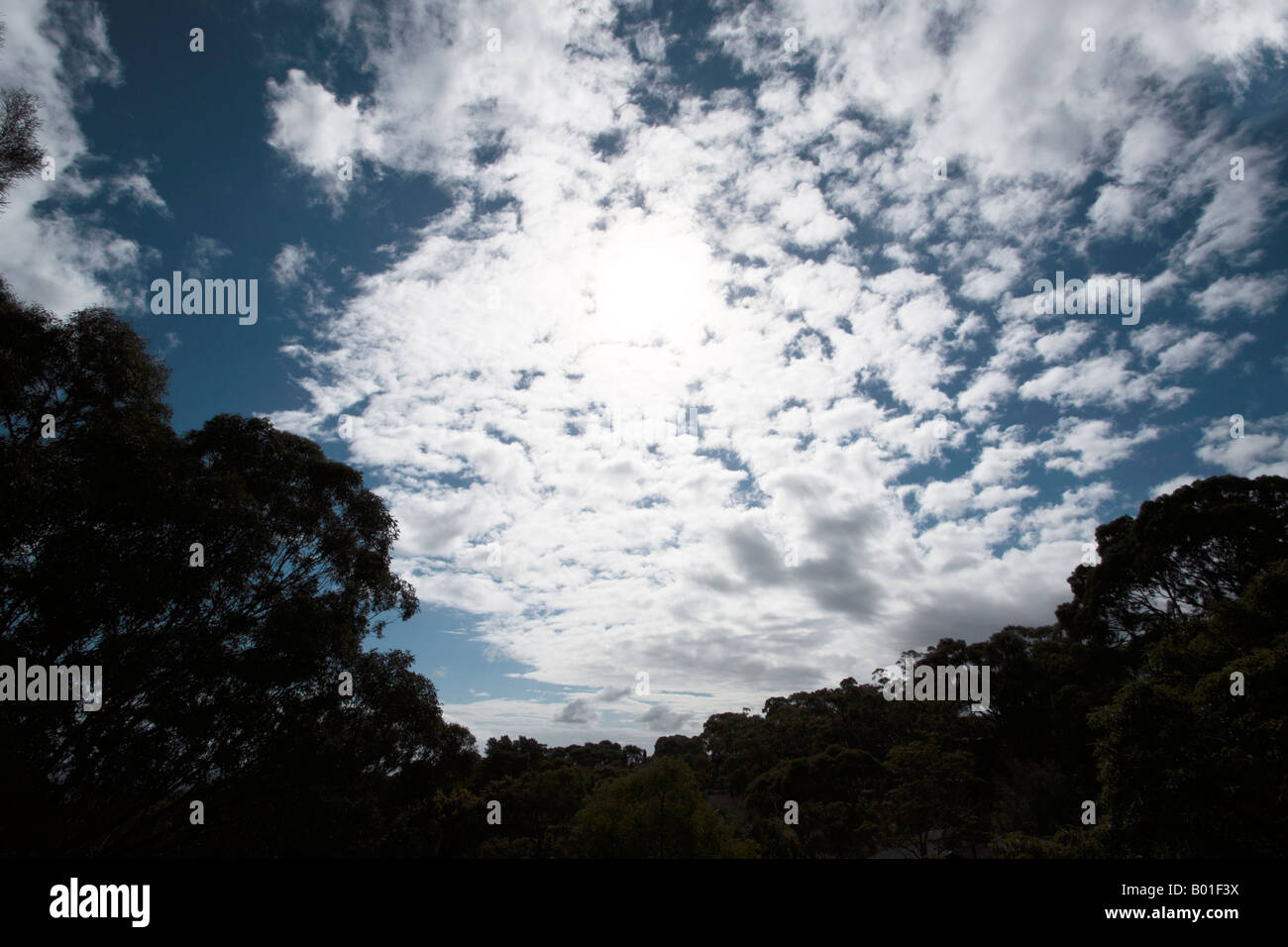 Altocumulus and Cumulus Clouds Stock Photo - Alamy