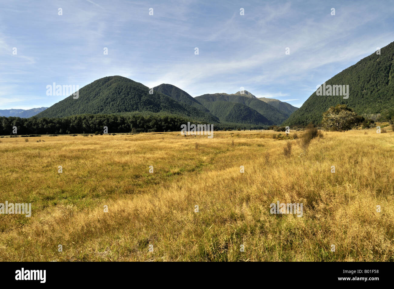 Lewis pass scenic reserve hi-res stock photography and images - Alamy