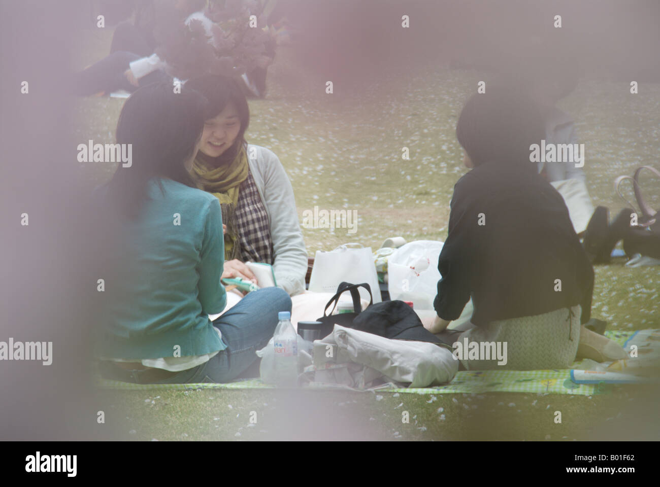Hanami hi-res stock photography and images - Alamy
