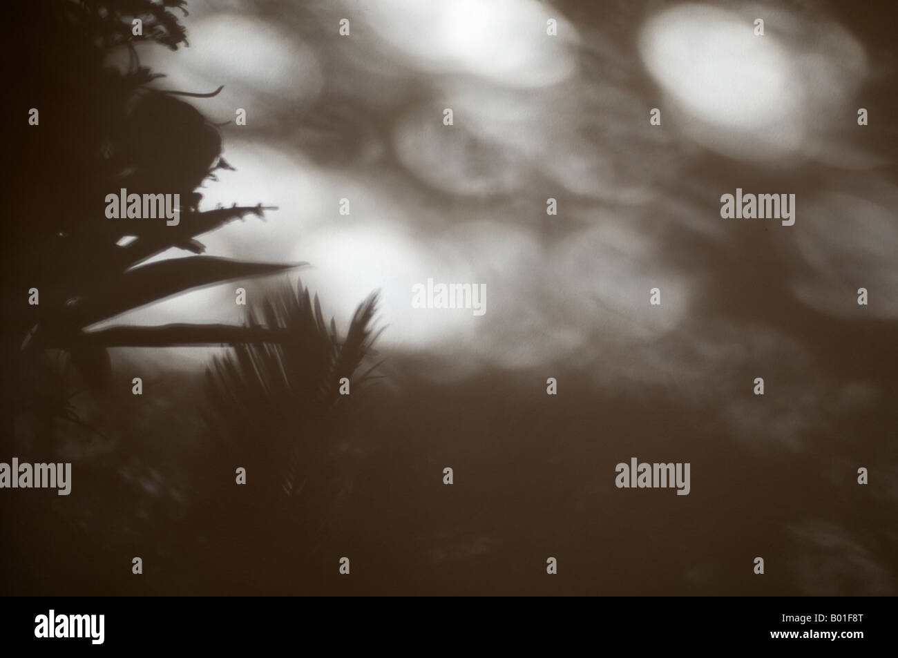 Dark shadow pattern hi-res stock photography and images - Alamy