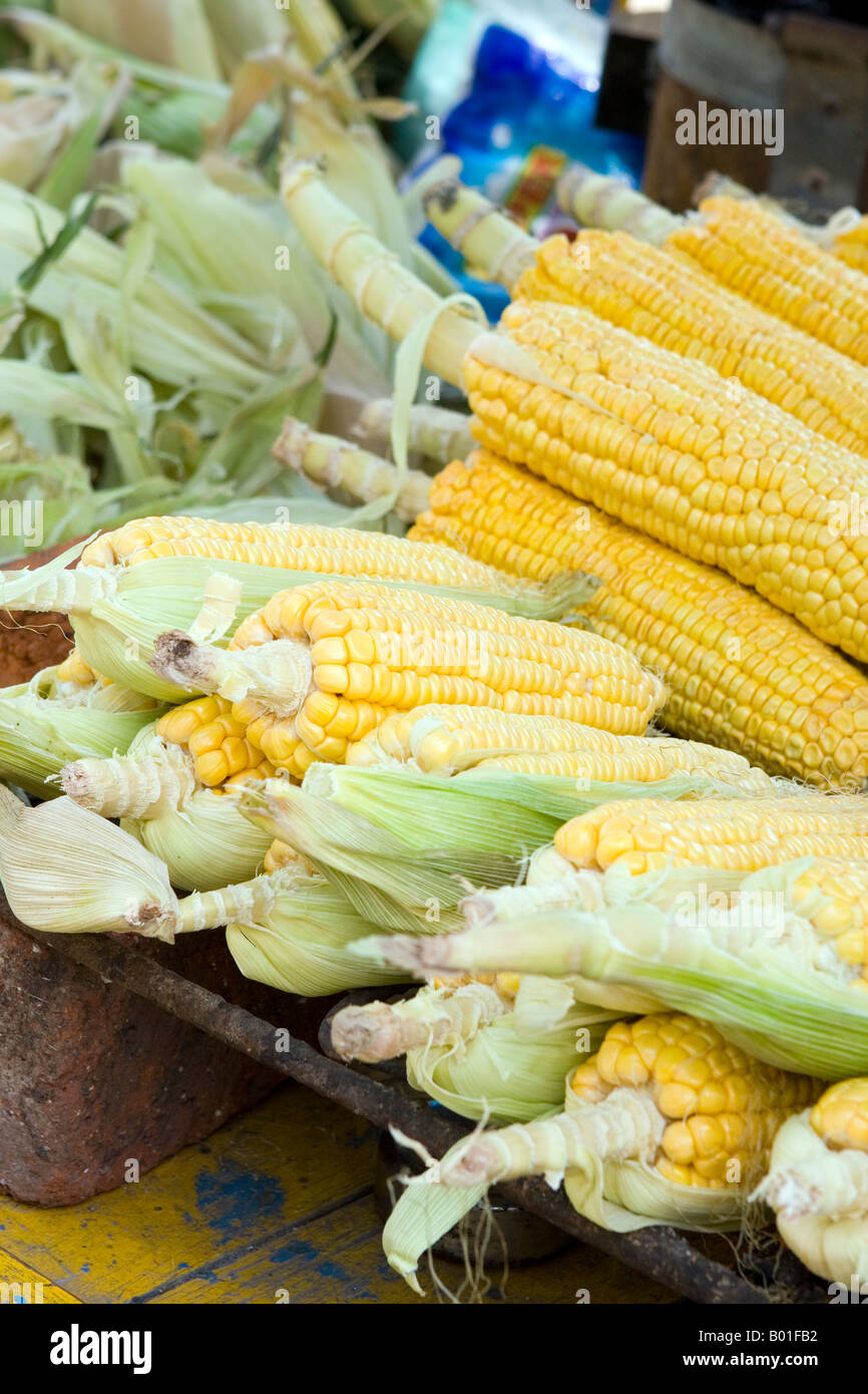 Indian market corn for sale Stock Photo - Alamy