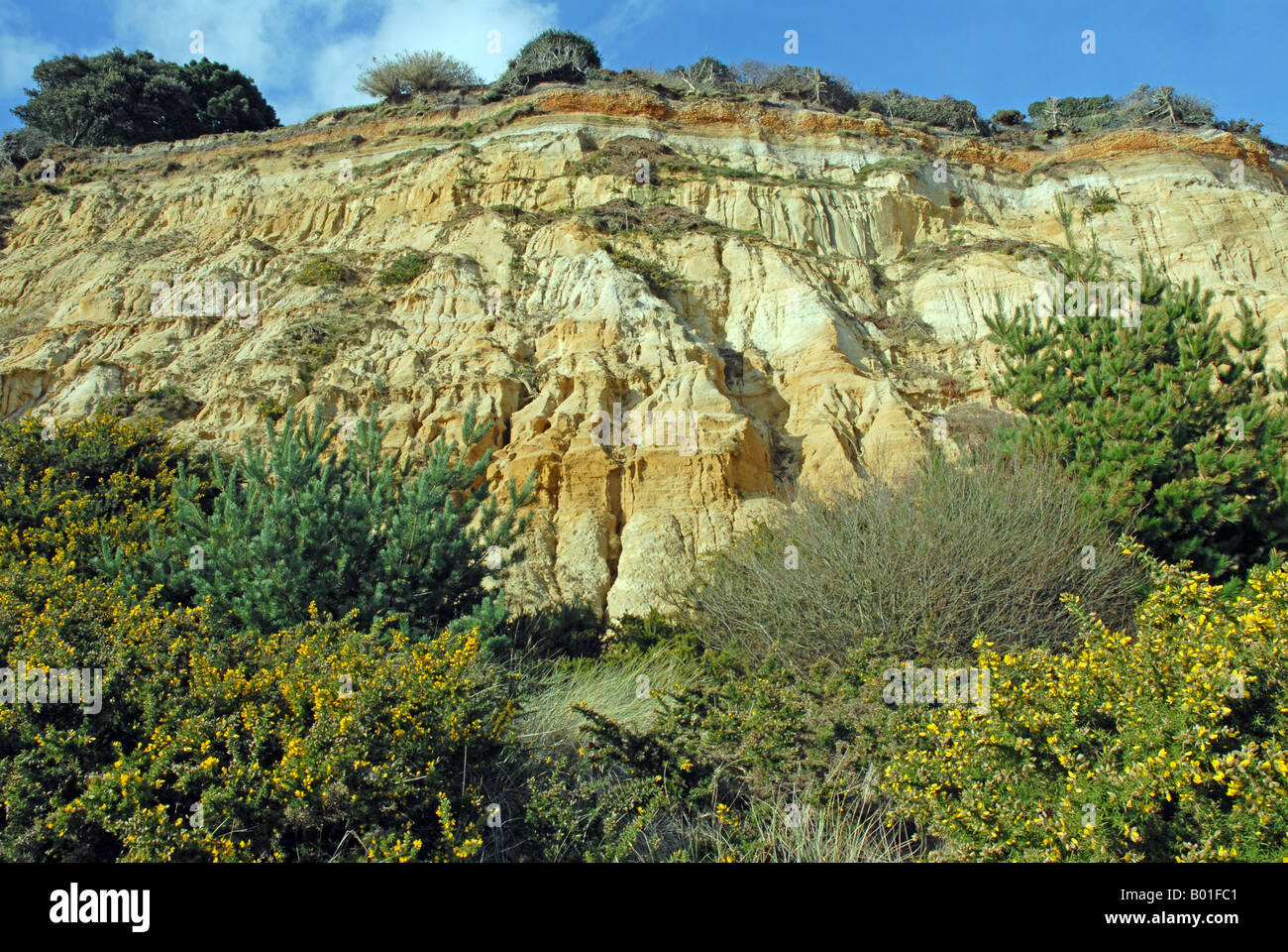 Eroding sandstone cliffs at Bournemouth Dorset Stock Photo - Alamy