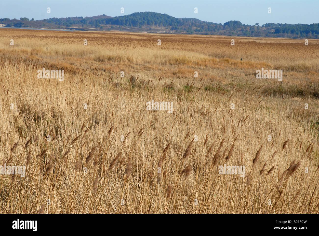 Vast estuary hi-res stock photography and images - Alamy