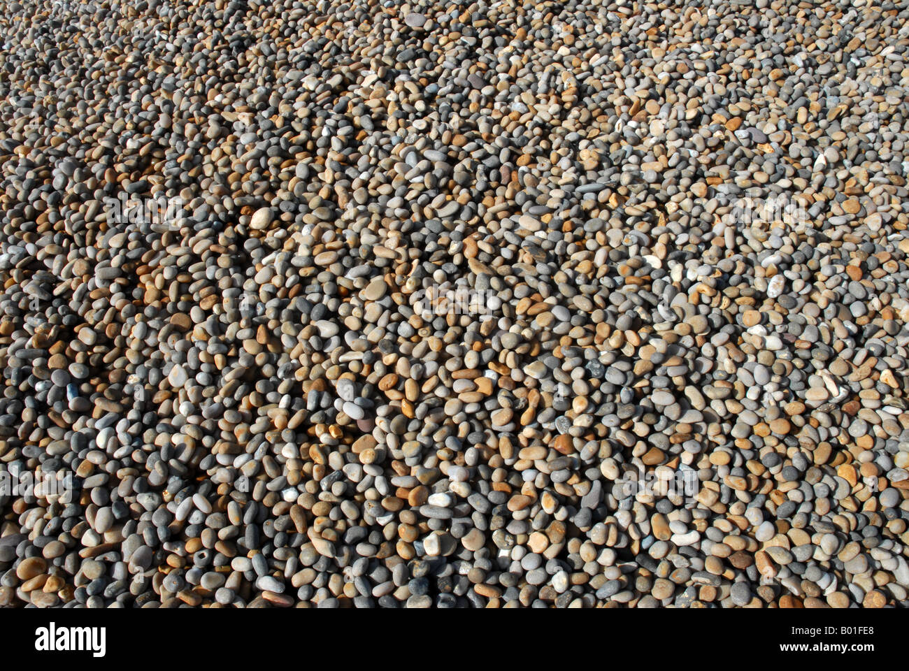 Stones on Chesil Beach Dorset Stock Photo - Alamy