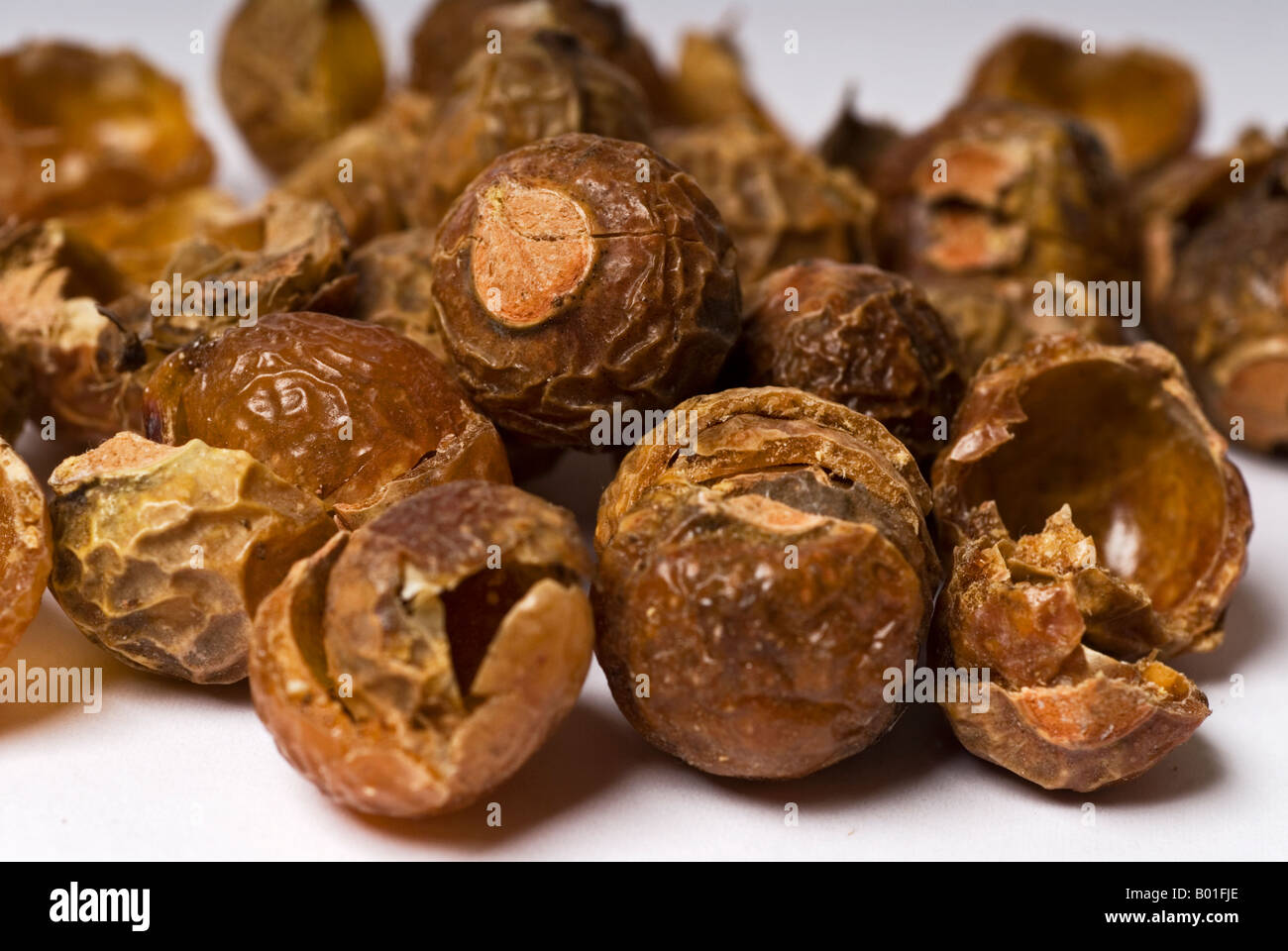 Stock photo of Soapnuts The nuts are placed inside a washing machine in ...