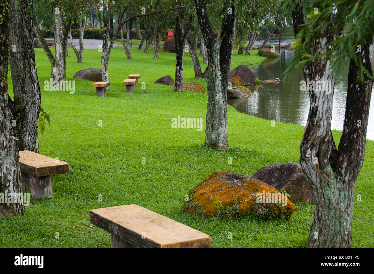 Lush park in Singapore Stock Photo - Alamy