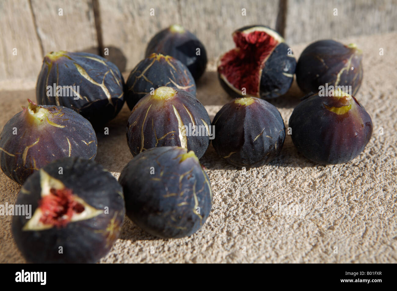 ripe figs on a stone platform, LATIN NAME: Ficus carica Stock Photo - Alamy