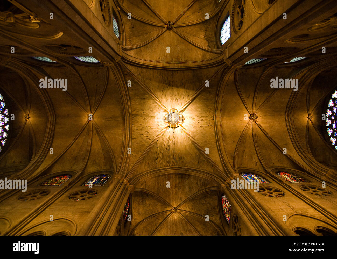 Gothic vaulted ceiling of Notre Dame cathedral in Paris France Stock ...