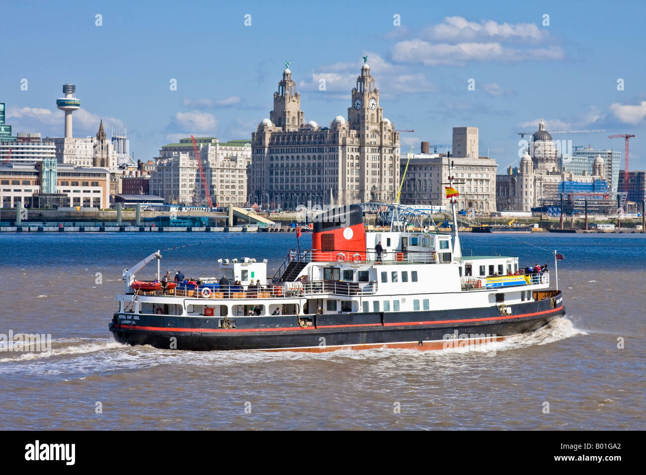 Royal daffodil ferry hi-res stock photography and images - Alamy