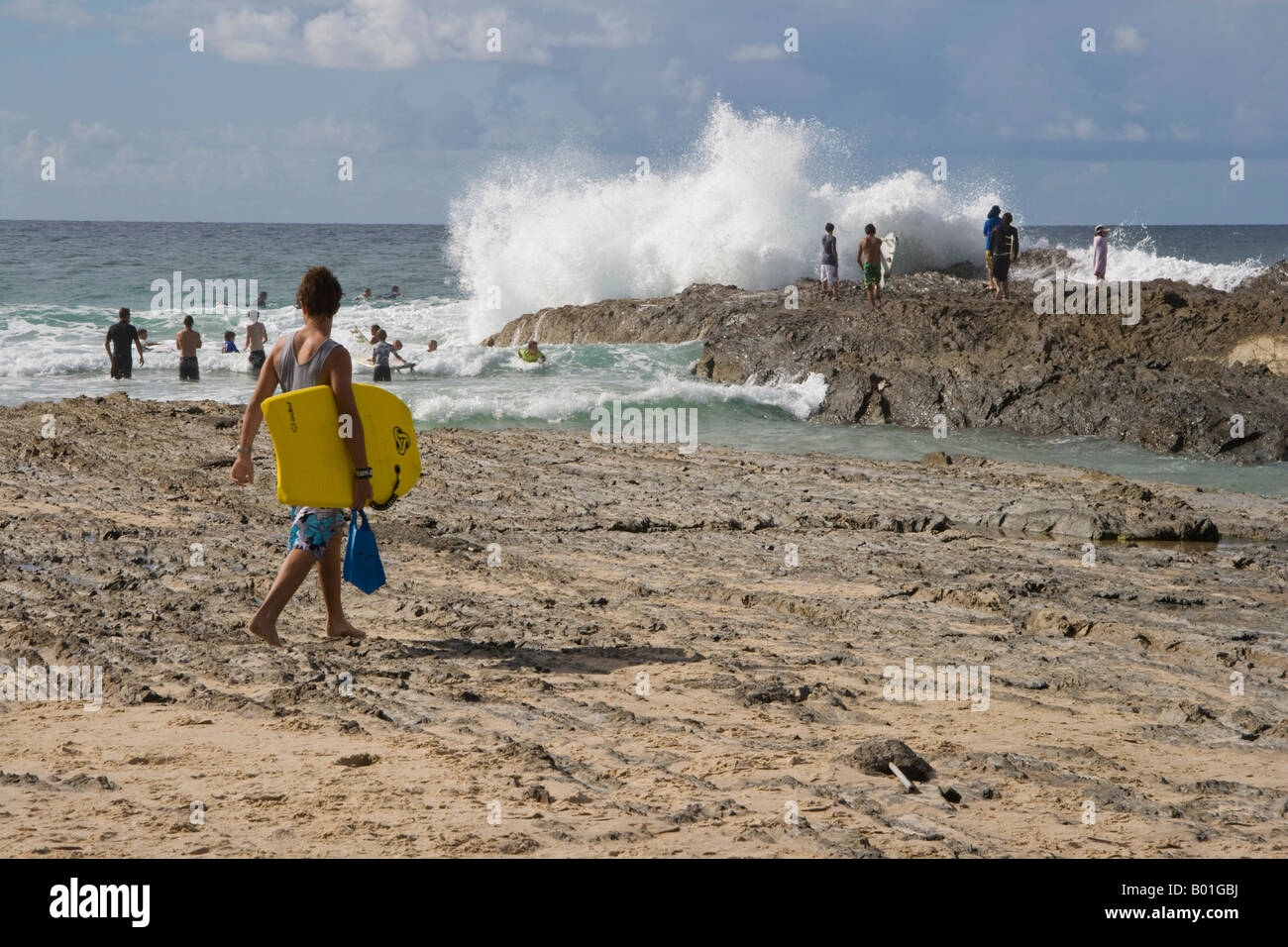 Australian snapper hi-res stock photography and images - Alamy