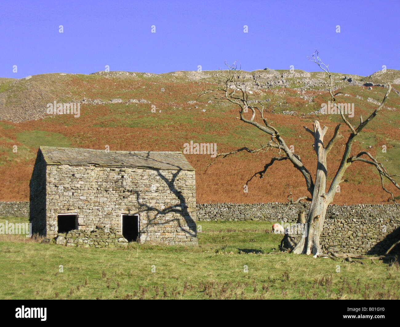 Deepdale farm hi-res stock photography and images - Alamy