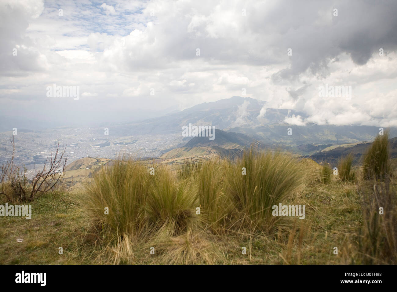 Mountain view and Andes straw from Guaga Pinchincha volcano 4000m ...