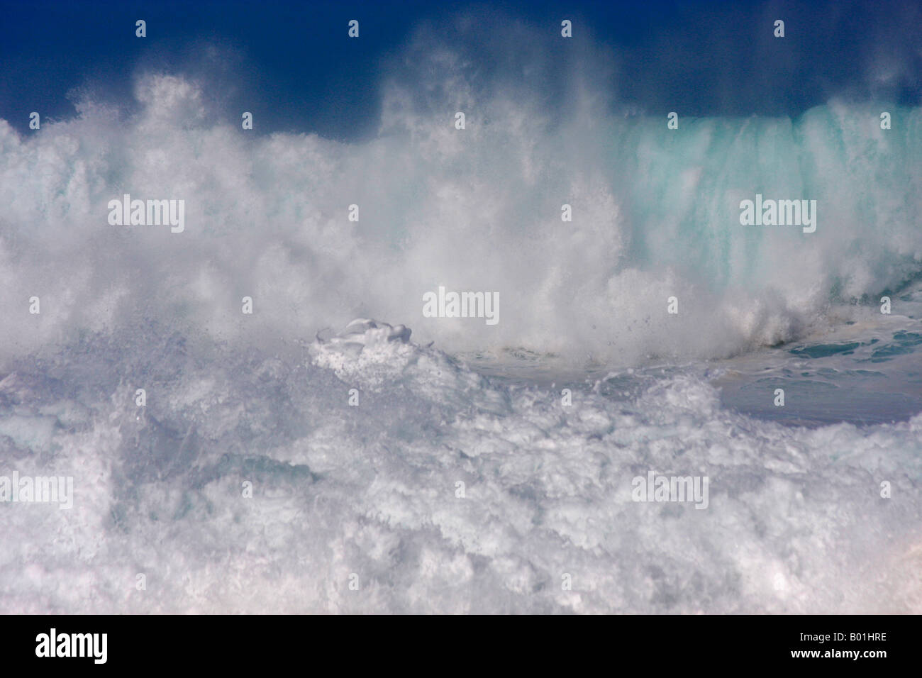 WILD SURFING WAVES ON THE NORTH COAST OF OAHU,HAWAII NEAR WAIMEA BEACH ...