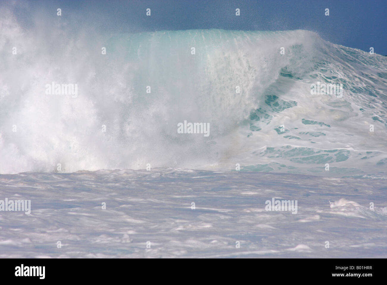 WILD SURFING WAVES ON THE NORTH COAST OF OAHU,HAWAII NEAR WAIMEA BEACH ...