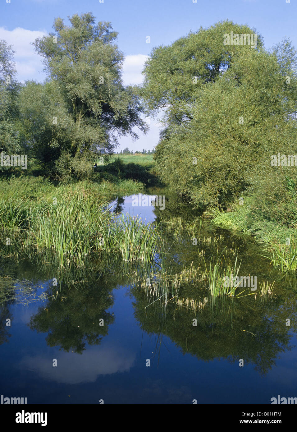 Home Counties What Are They at Margaret Bower blog