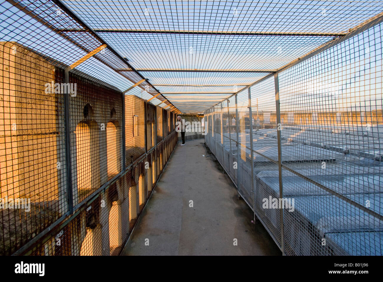 Public viewing area hi-res stock photography and images - Alamy