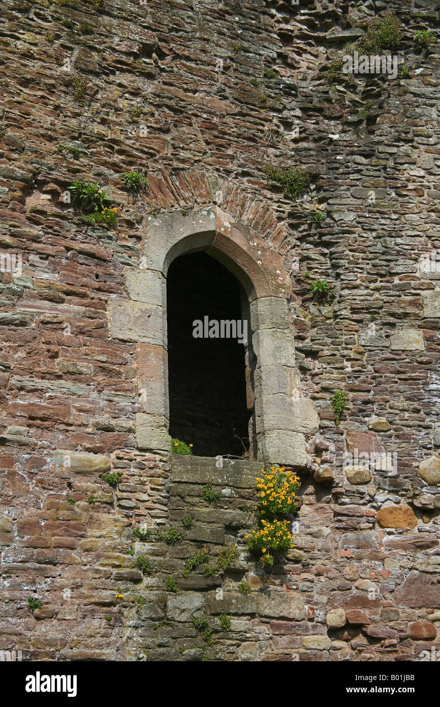 A Stone Court window at Raglan Castle Monmouthshire Wales UK Stock ...