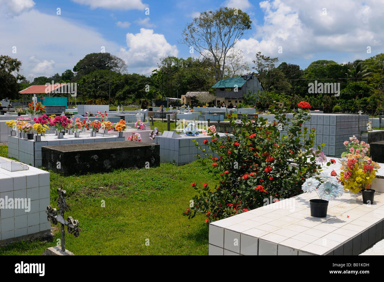 Flowers and tombs of the Puerto Jimenez Cemetary in Osa Peninsula Costa ...