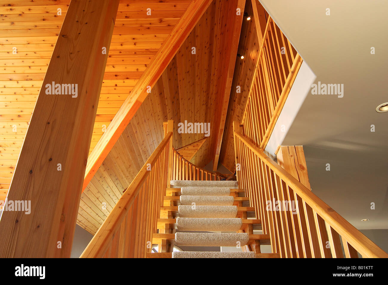 Elegant and luxury custom homes that show comfort and excellent designs ...