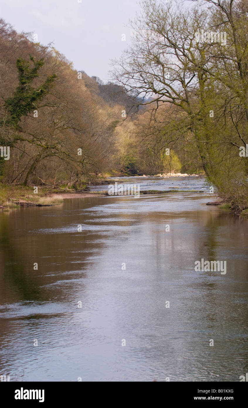 River Usk in Spring on the Gliffaes Country House Hotel water near ...