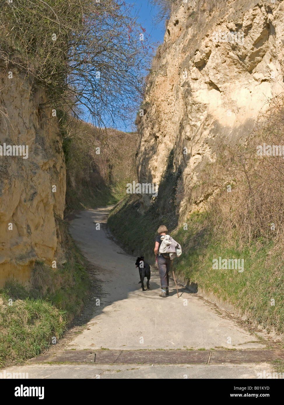 Eichgasse in Eichberg defile narrow pass road in accumulation of loess ...