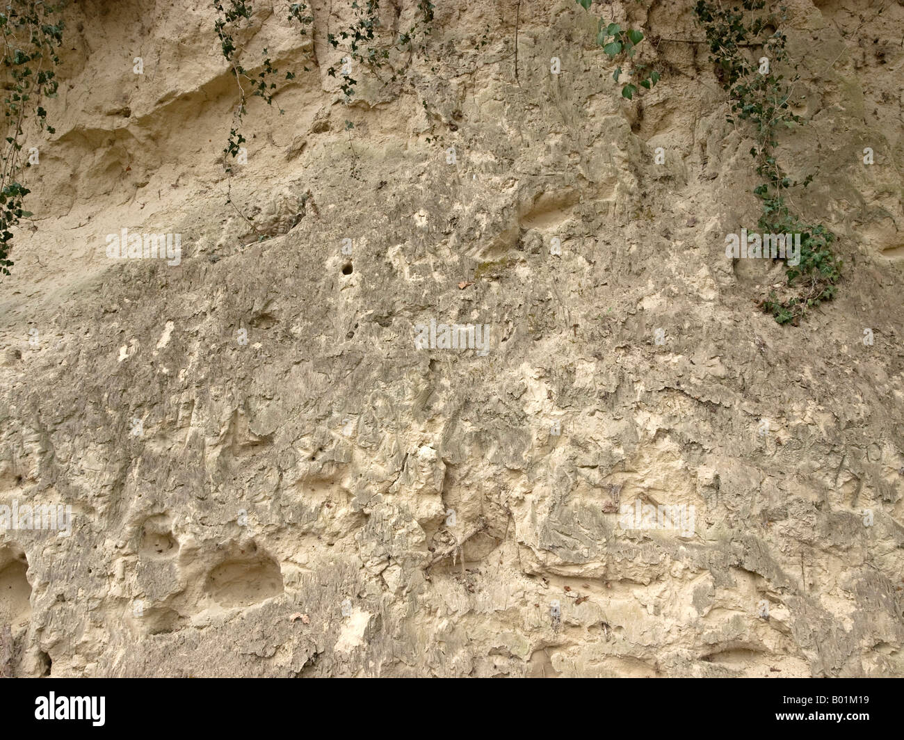 Loess soil hi-res stock photography and images - Alamy