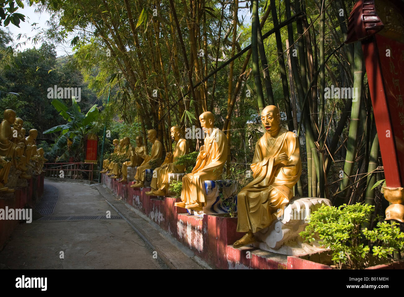 Bamboo forest buddha monastery hi-res stock photography and images - Alamy
