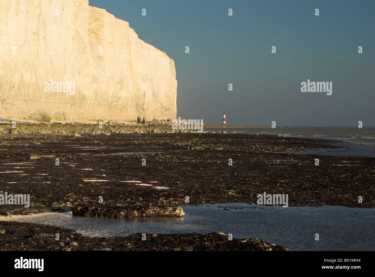 The chalk cliffs and rocky beach on the south coast near Birling Gap ...