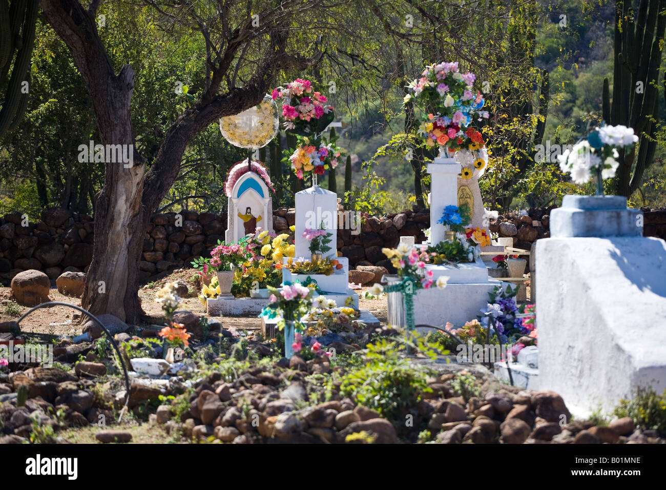 Graveyard near the Satevo in the Copper Canyon area Mexico Stock Photo ...