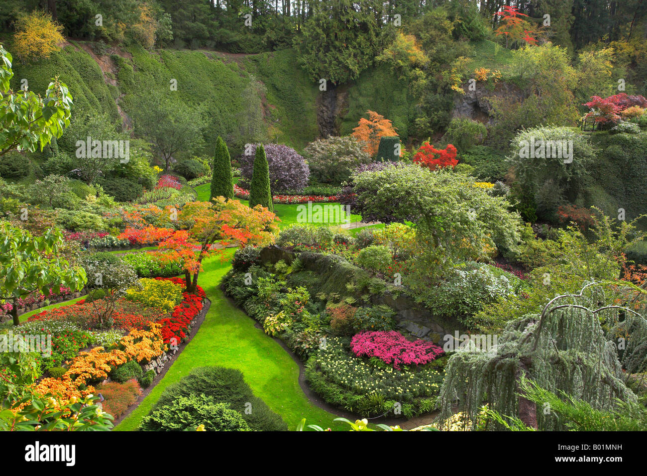 Phenomenally beautiful and picturesque garden for walks and supervision ...