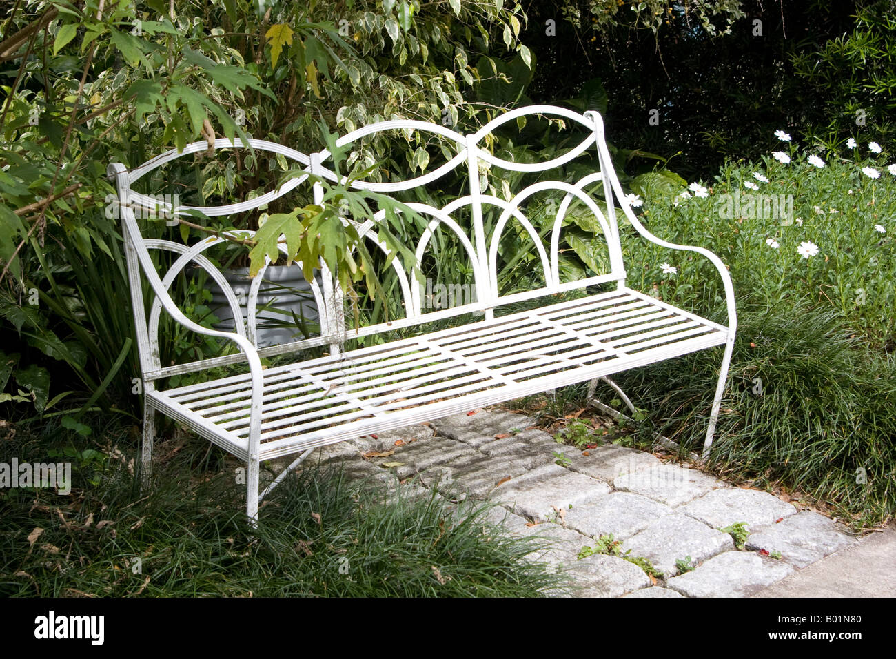 White Iron Bench in Leu Gardens Orlando FL Stock Photo - Alamy