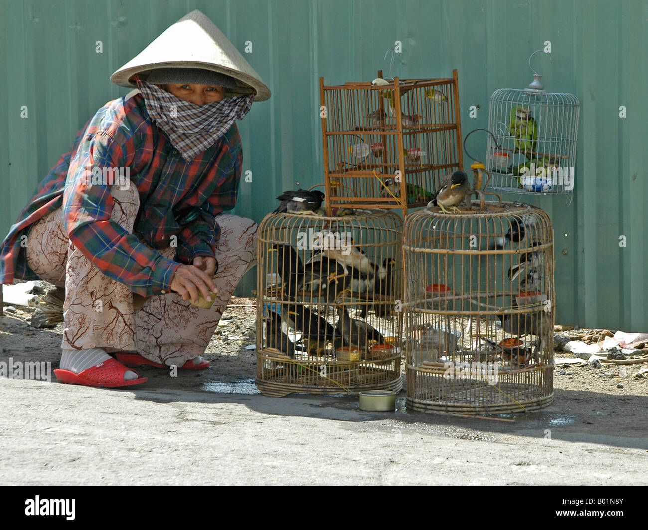 Woman, selling birds Stock Photo - Alamy